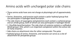 amino acid structure and chemistry .pptx
