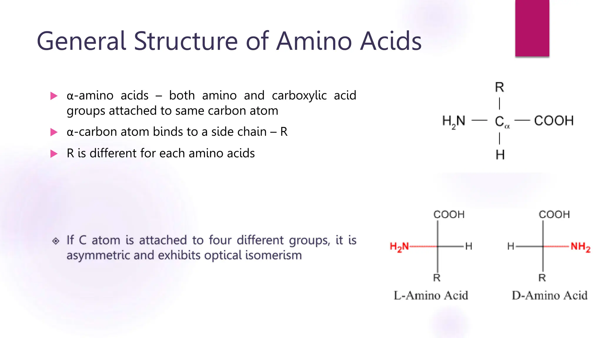 Amino Acid Chemistry | PPTX