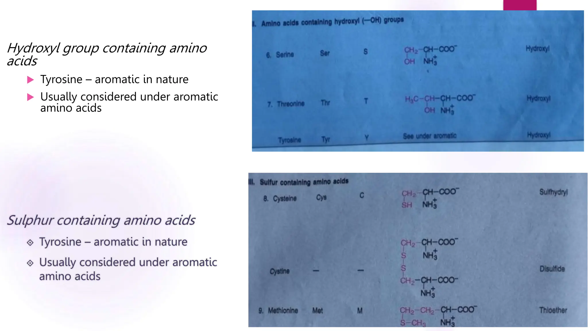 Amino Acid Chemistry | PPTX