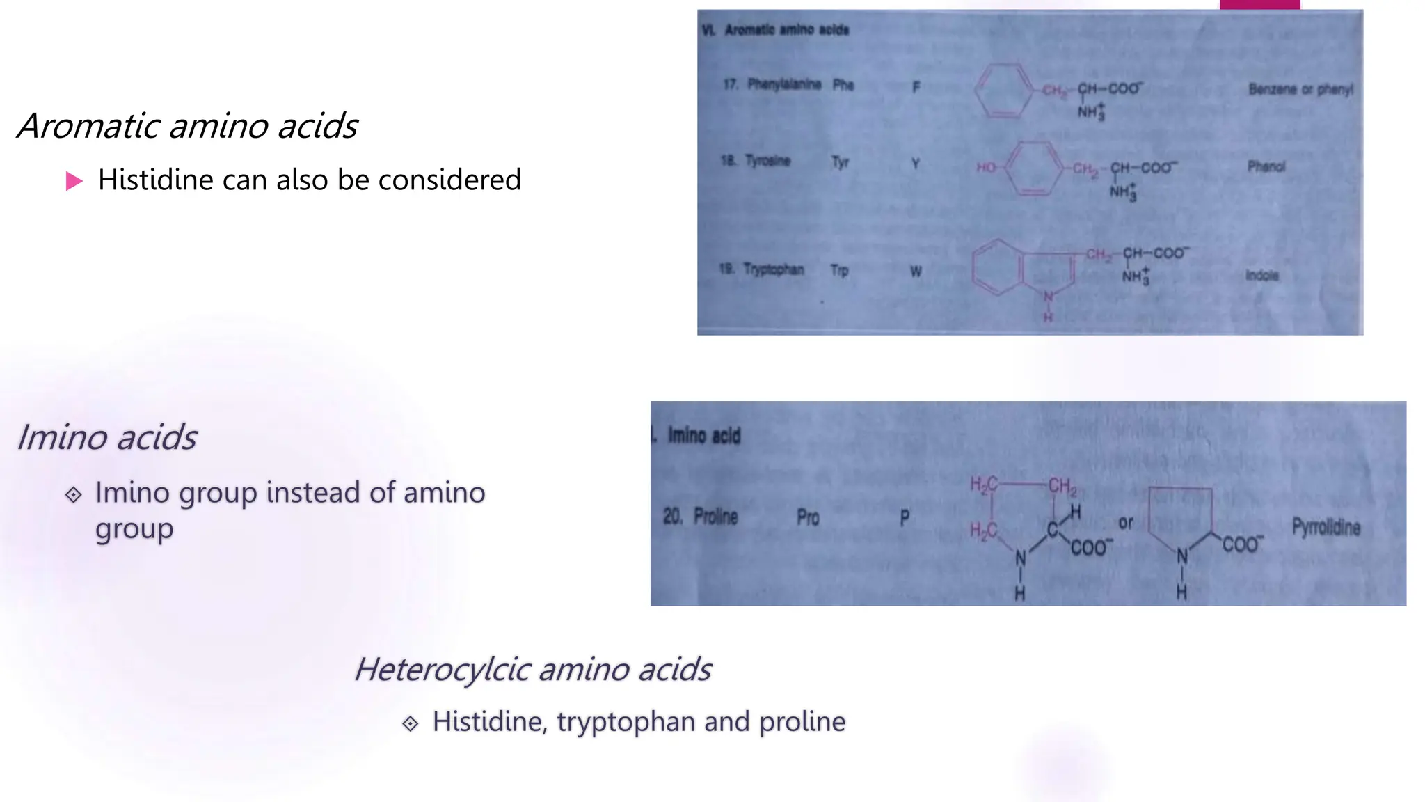 Amino Acid Chemistry | PPTX