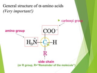 aminoacidclassification-150616095122-lva1-app6892.pdf
