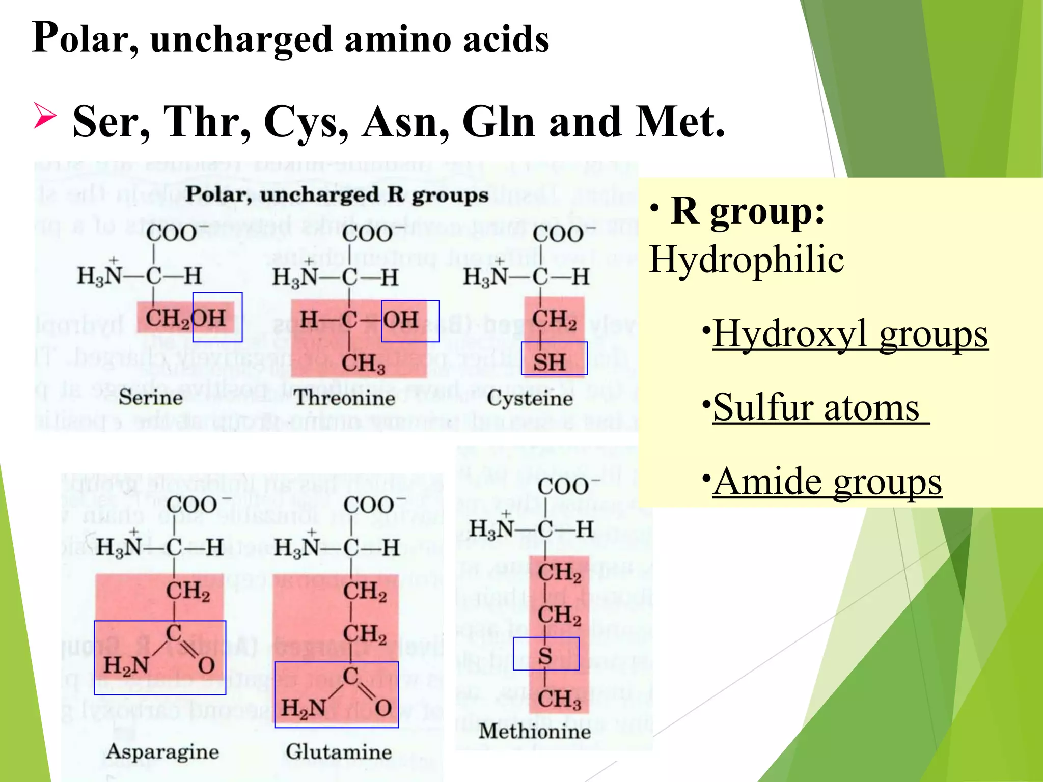 Amino acid classification | PPT
