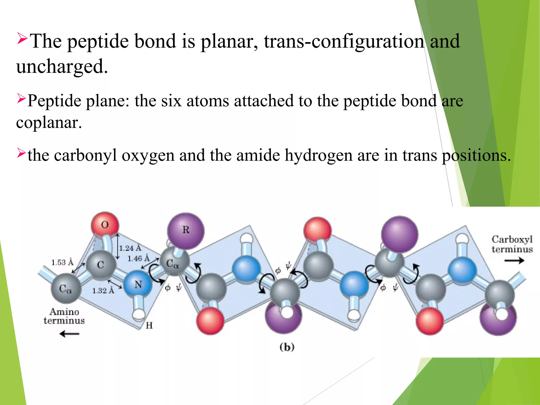 Amino acid classification | PPT