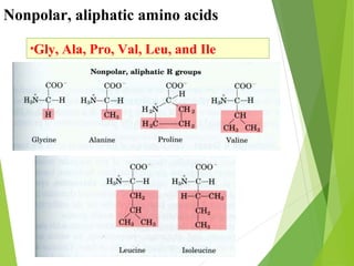 Amino acid classification | PPT