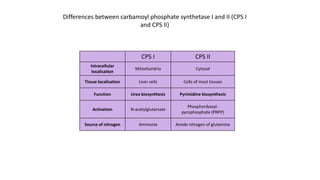AMINO ACID power presentation that describes amino acids | PDF
