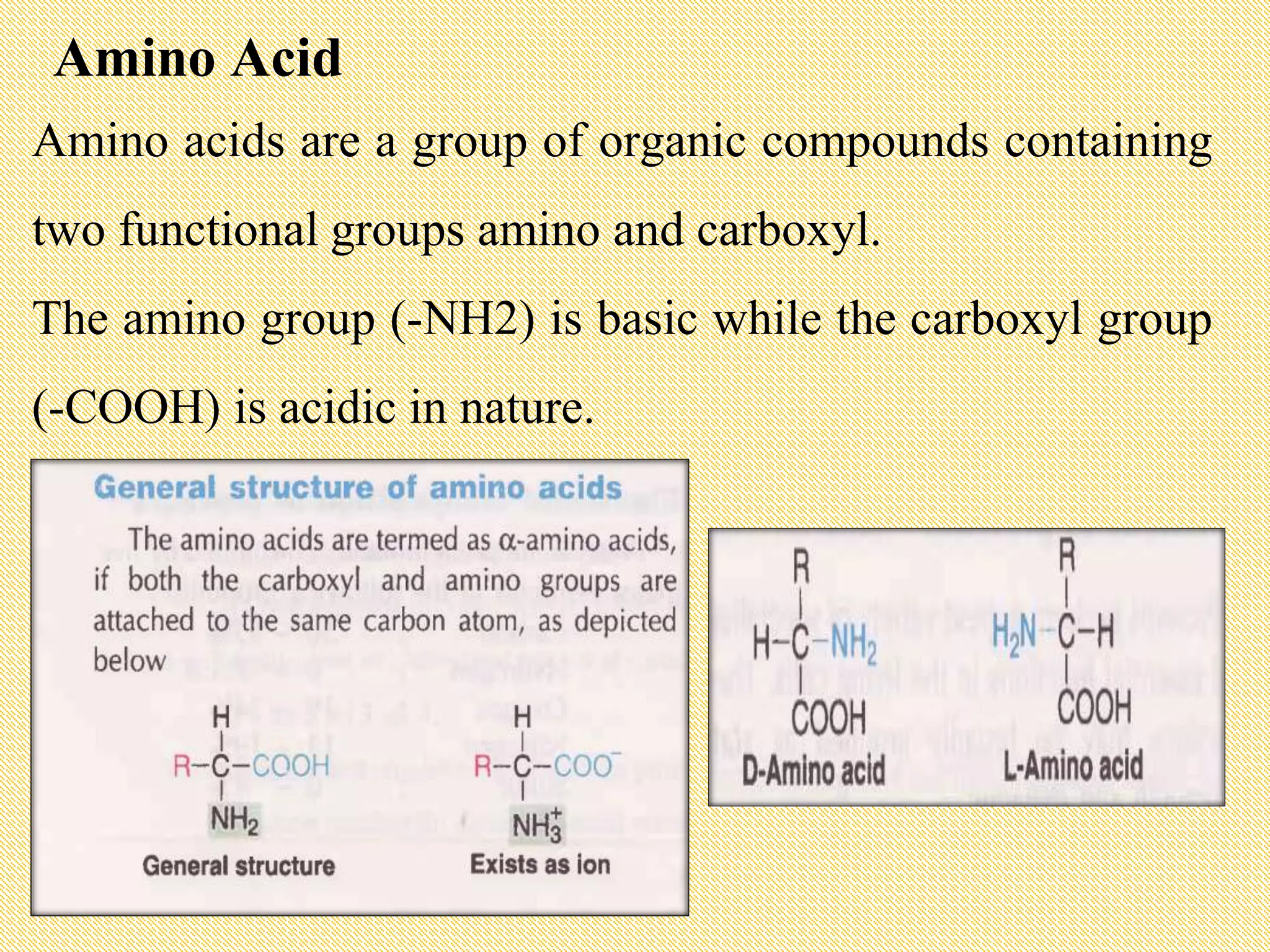 Amino Acid Inntroduction.pptx