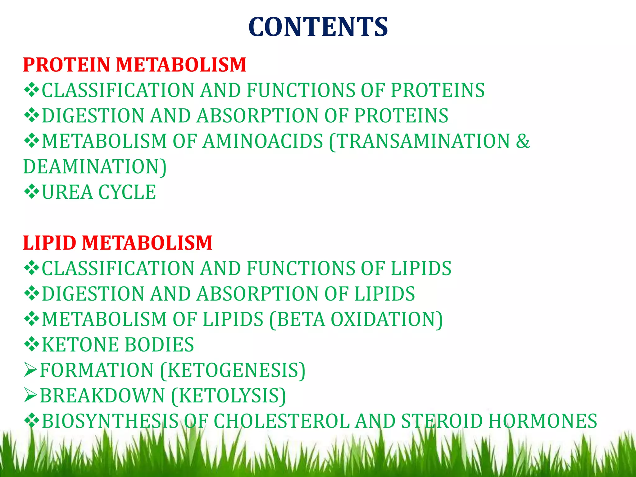 Amino acid and lipid metabolism | PPTX