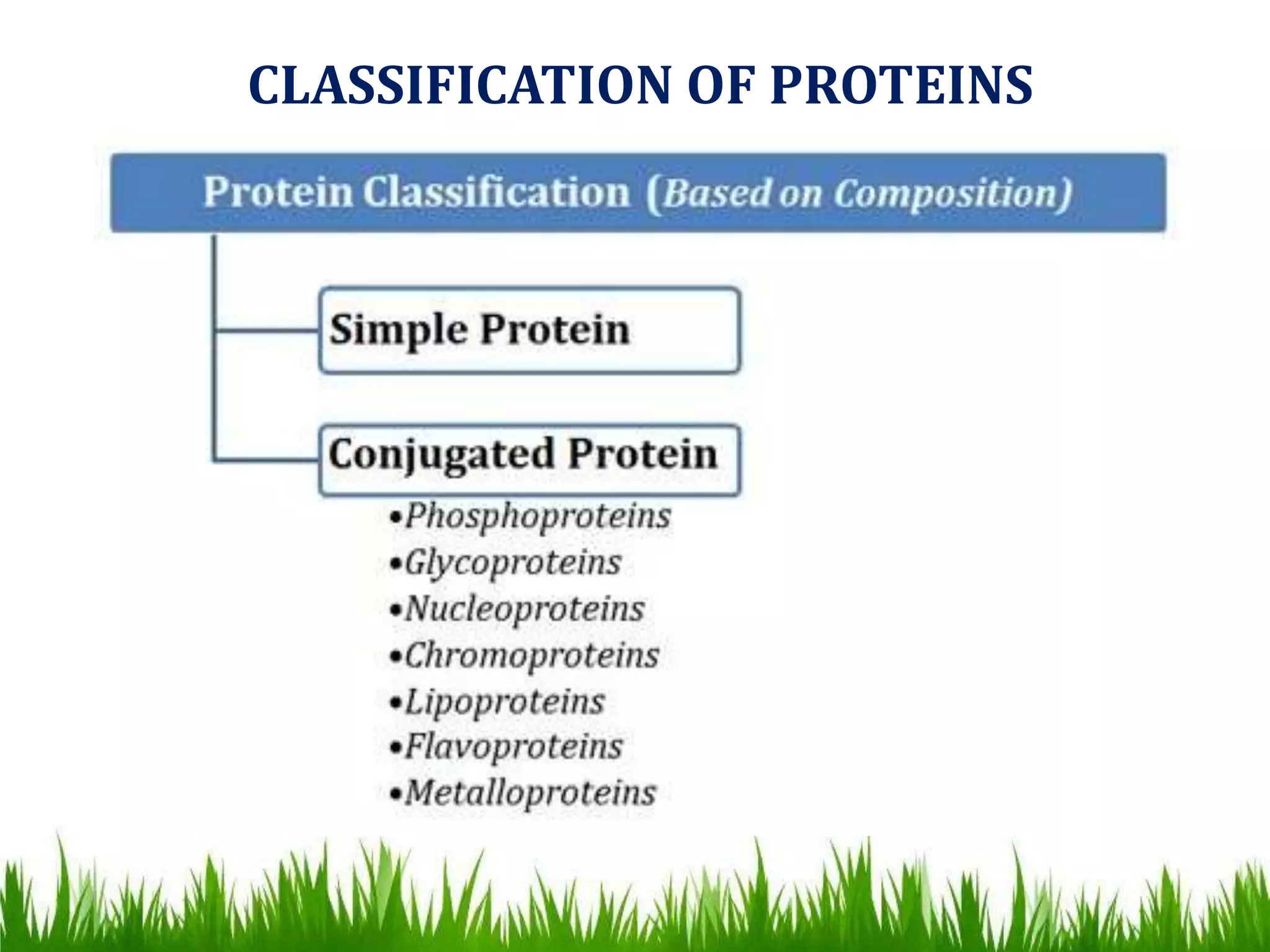 Amino acid and lipid metabolism | PPTX