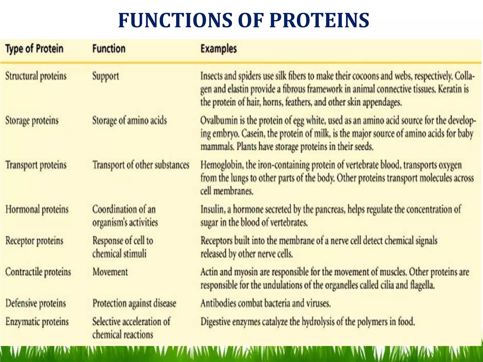 Amino acid and lipid metabolism | PPTX