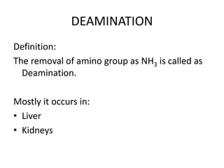 Amino acid metabolism | PPT