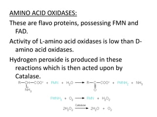 Amino acid metabolism | PPT