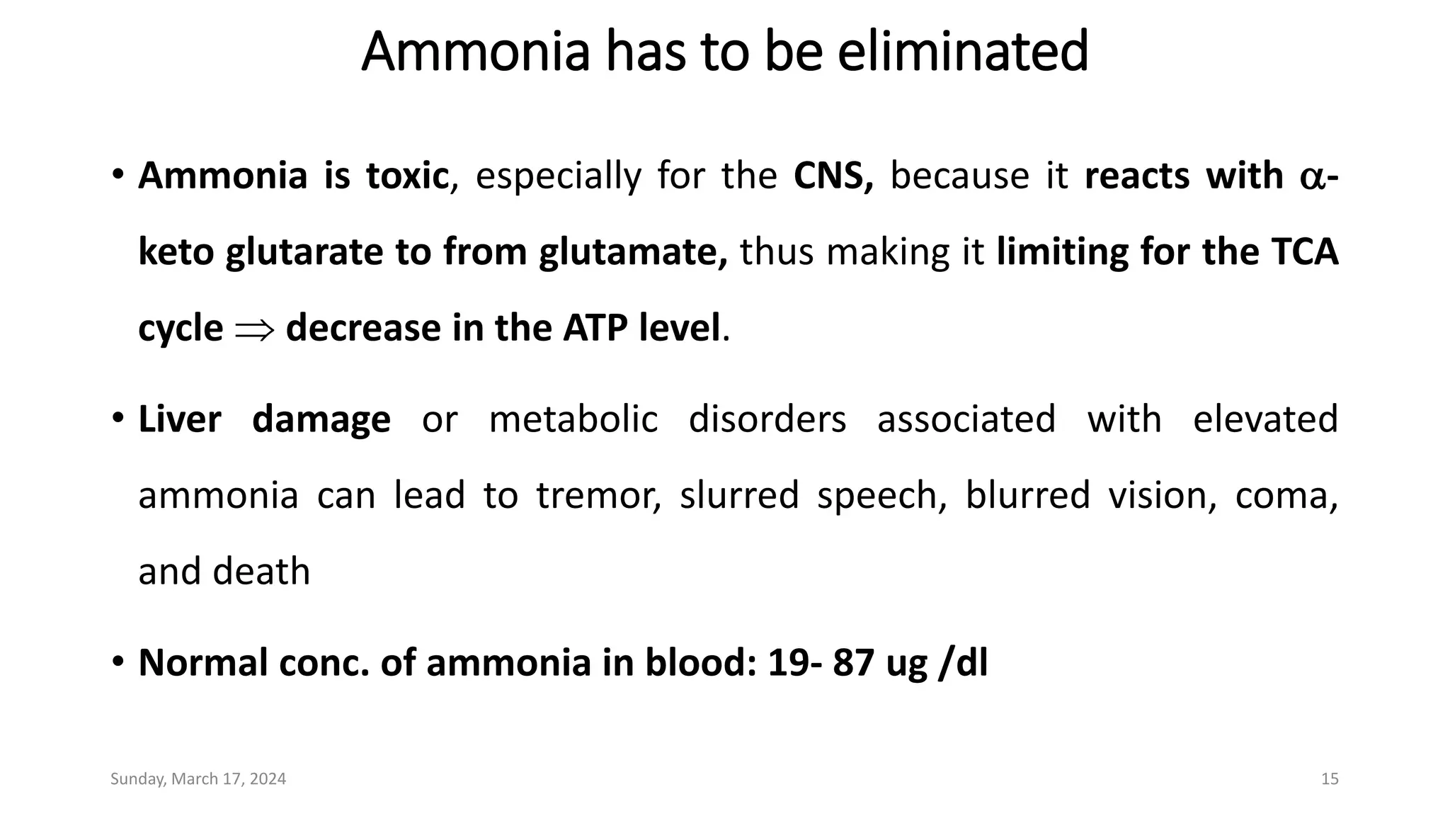 Amino acid meatbolism and Urea cycle-1.pptx