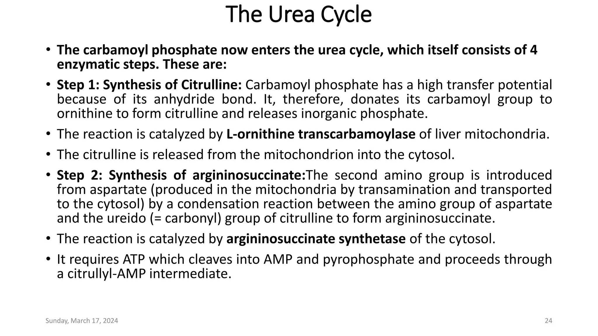 Amino acid meatbolism and Urea cycle-1.pptx | Chemistry | Science