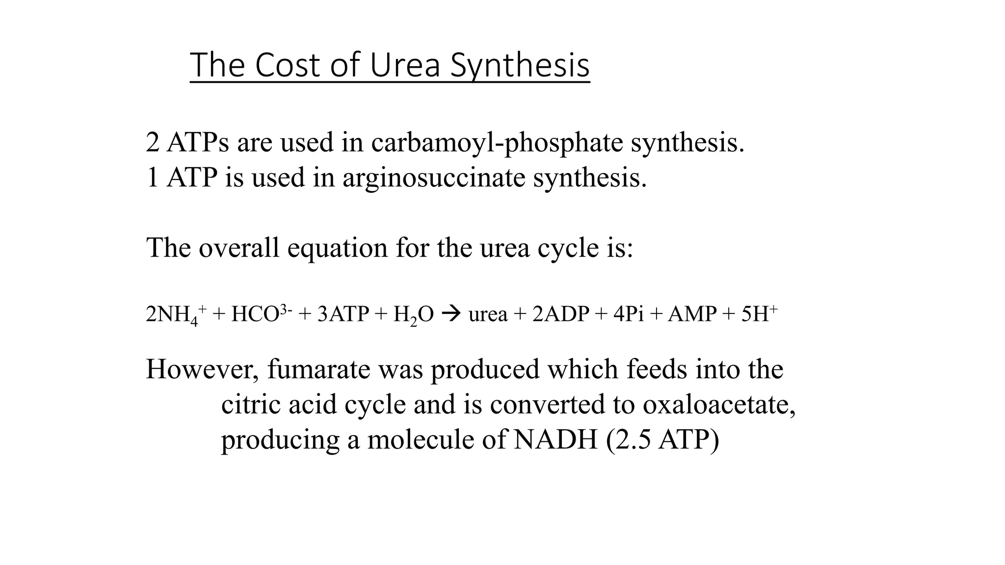 Amino acid meatbolism and Urea cycle-1.pptx