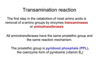 aminoacidmetab.ppt and definition of the | PPT