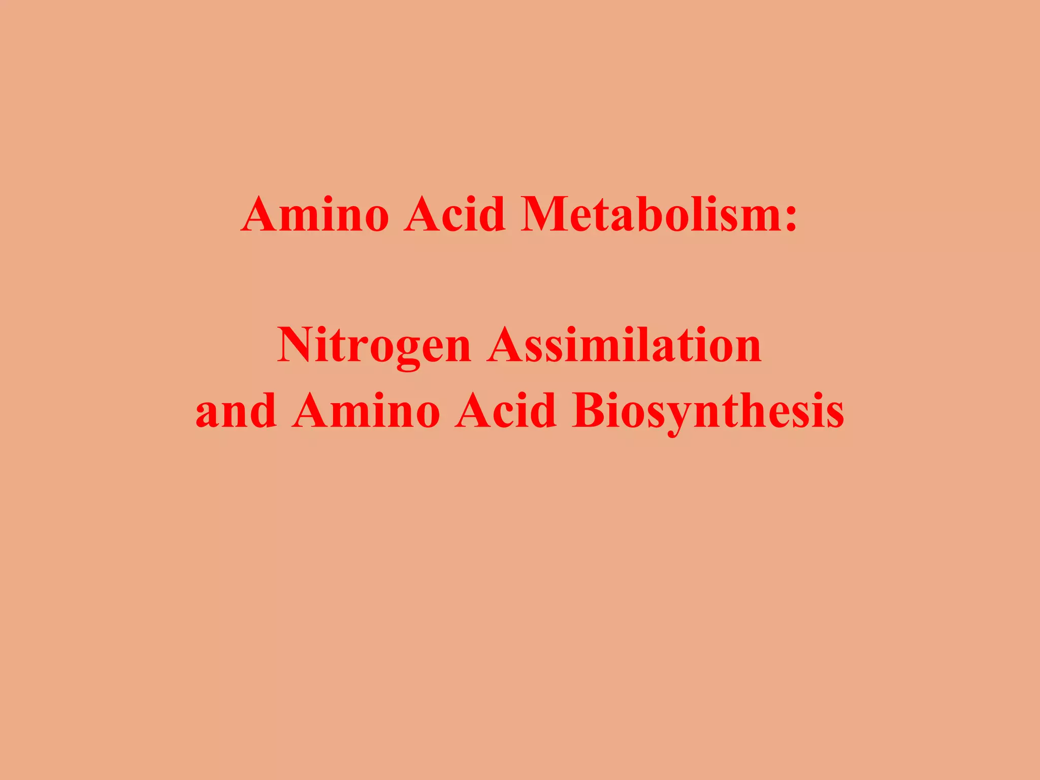Amino Acid Metabolism Ppt