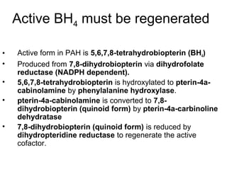 Amino acid metabolism | PPT