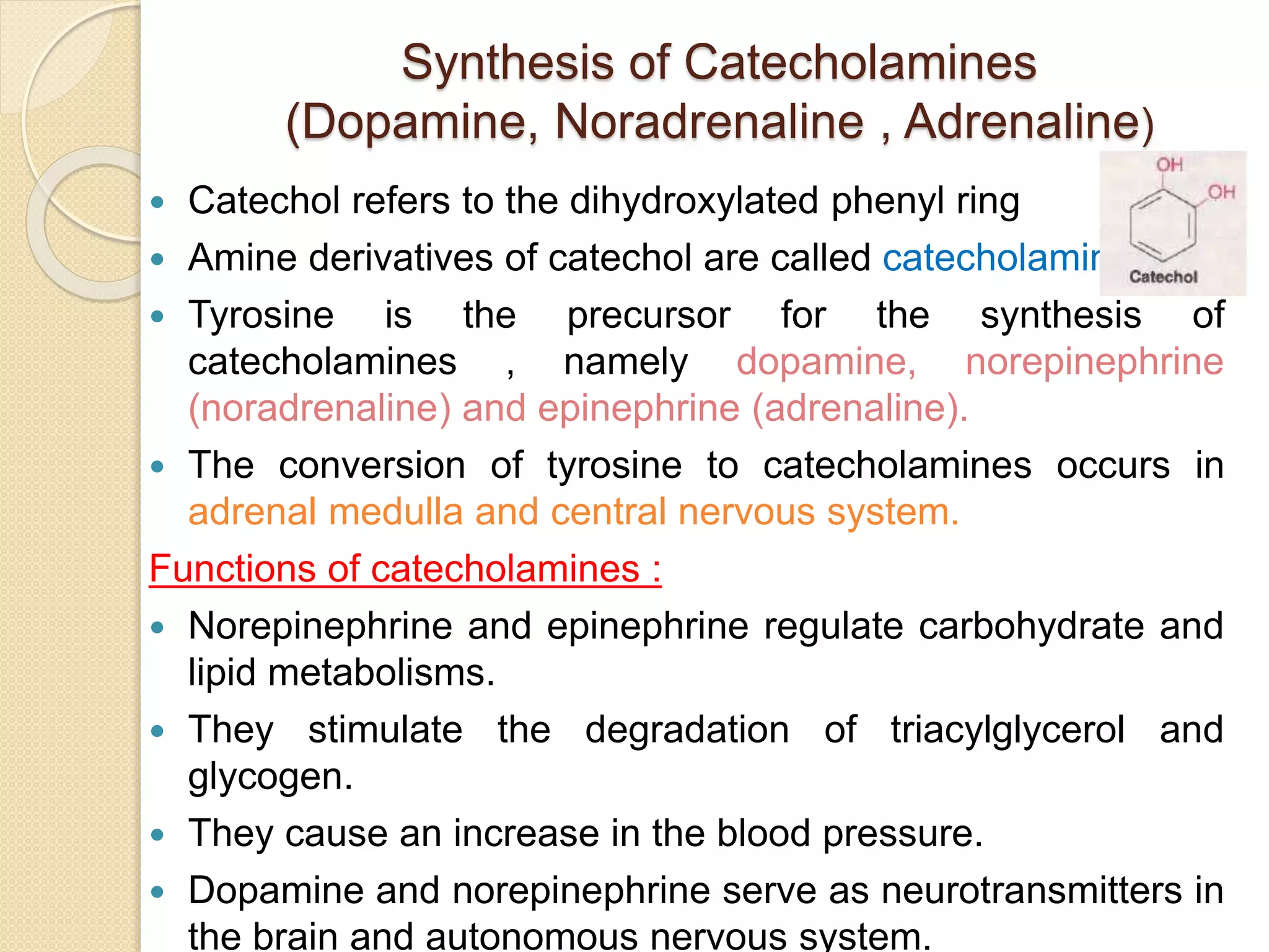 Amino acid metabolism | PPTX