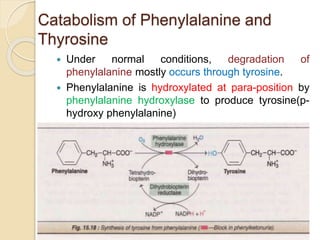 Amino acid metabolism | PPTX