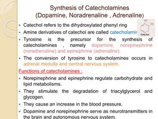 Amino acid metabolism | PPTX