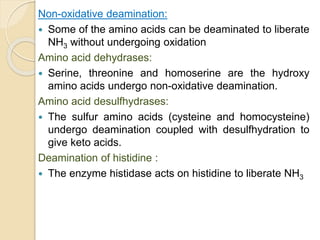 Amino acid metabolism | PPTX