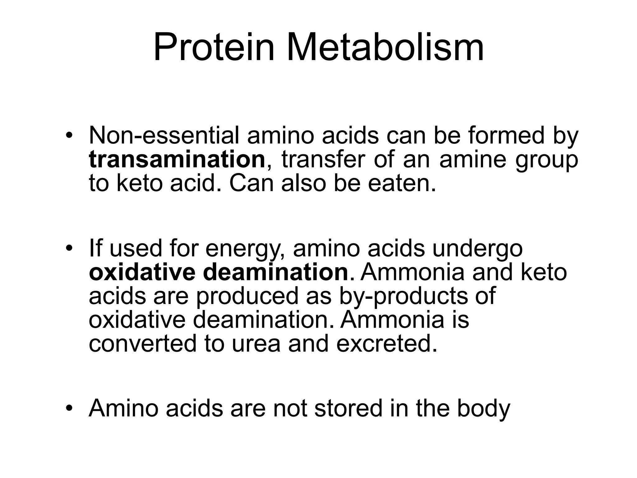 Amino acid metabolism | PDF