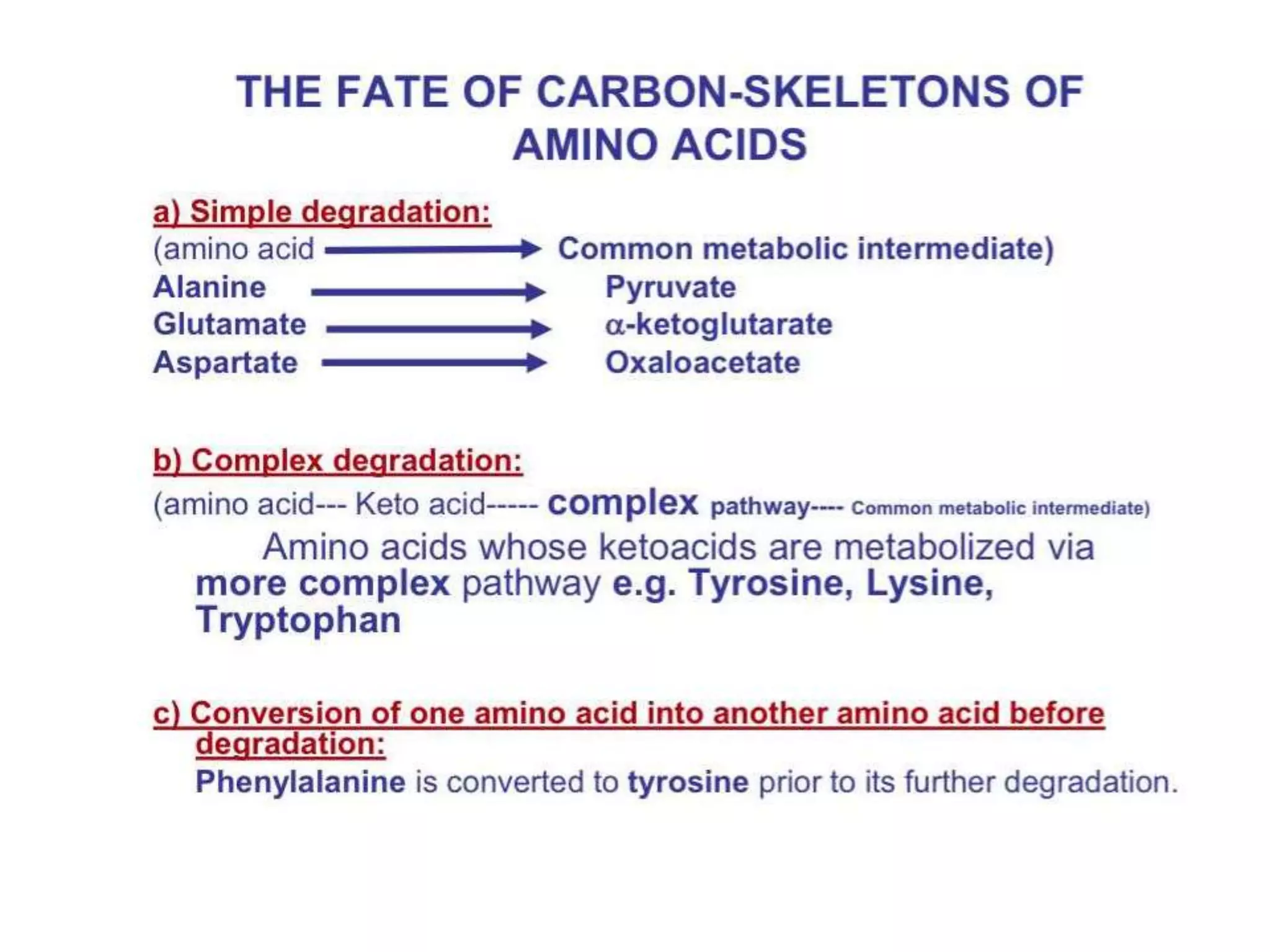 Amino acid metabolism | PDF