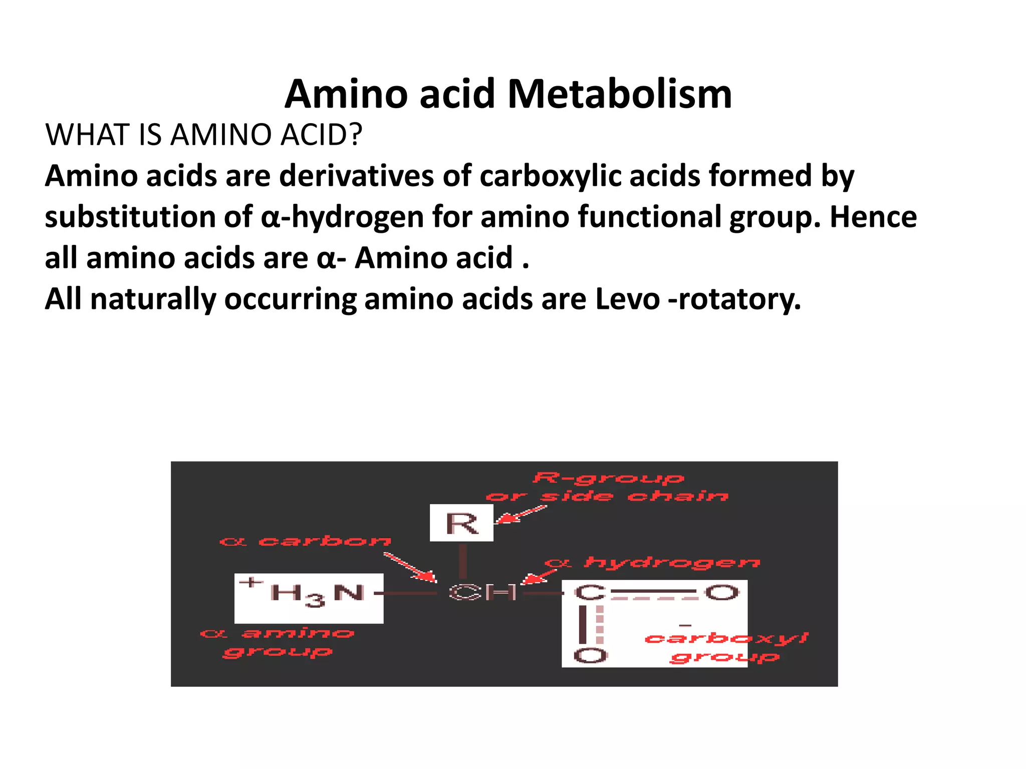 Amino acid metabolism | PDF