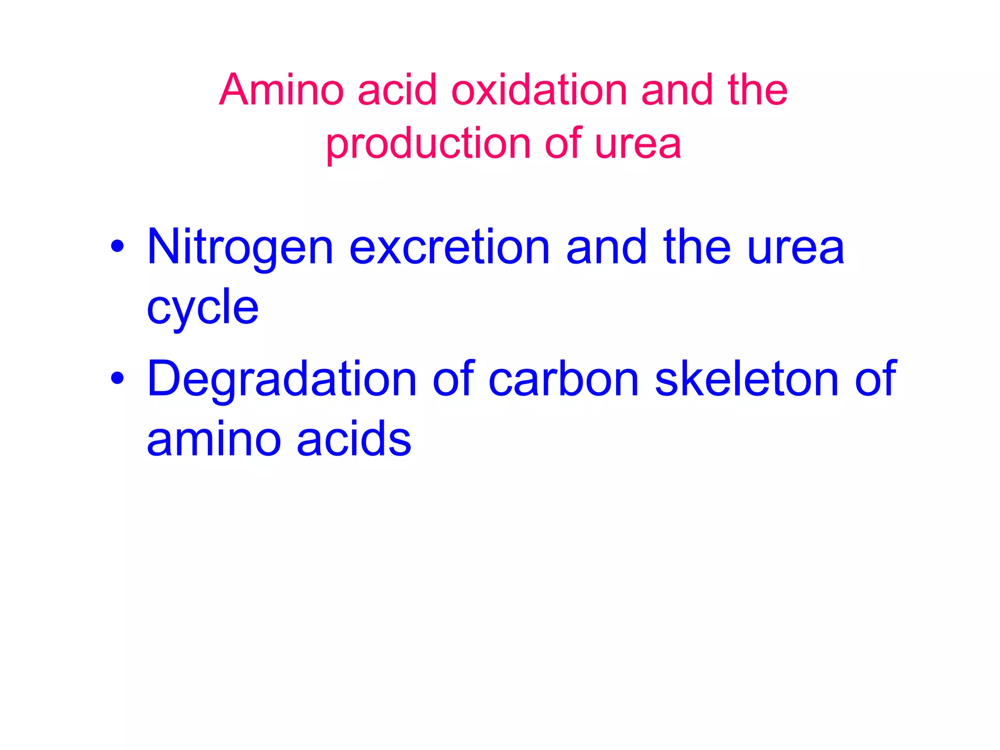 Amino acid metabolism.ppt