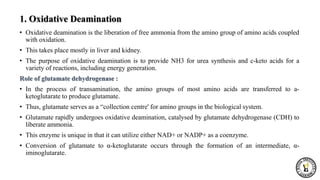 Amino Acid Metabolism.pptx