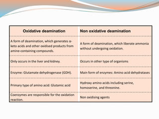 AMINO ACID METABOLISM.pptx