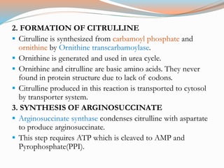 AMINO ACID METABOLISM.pptx