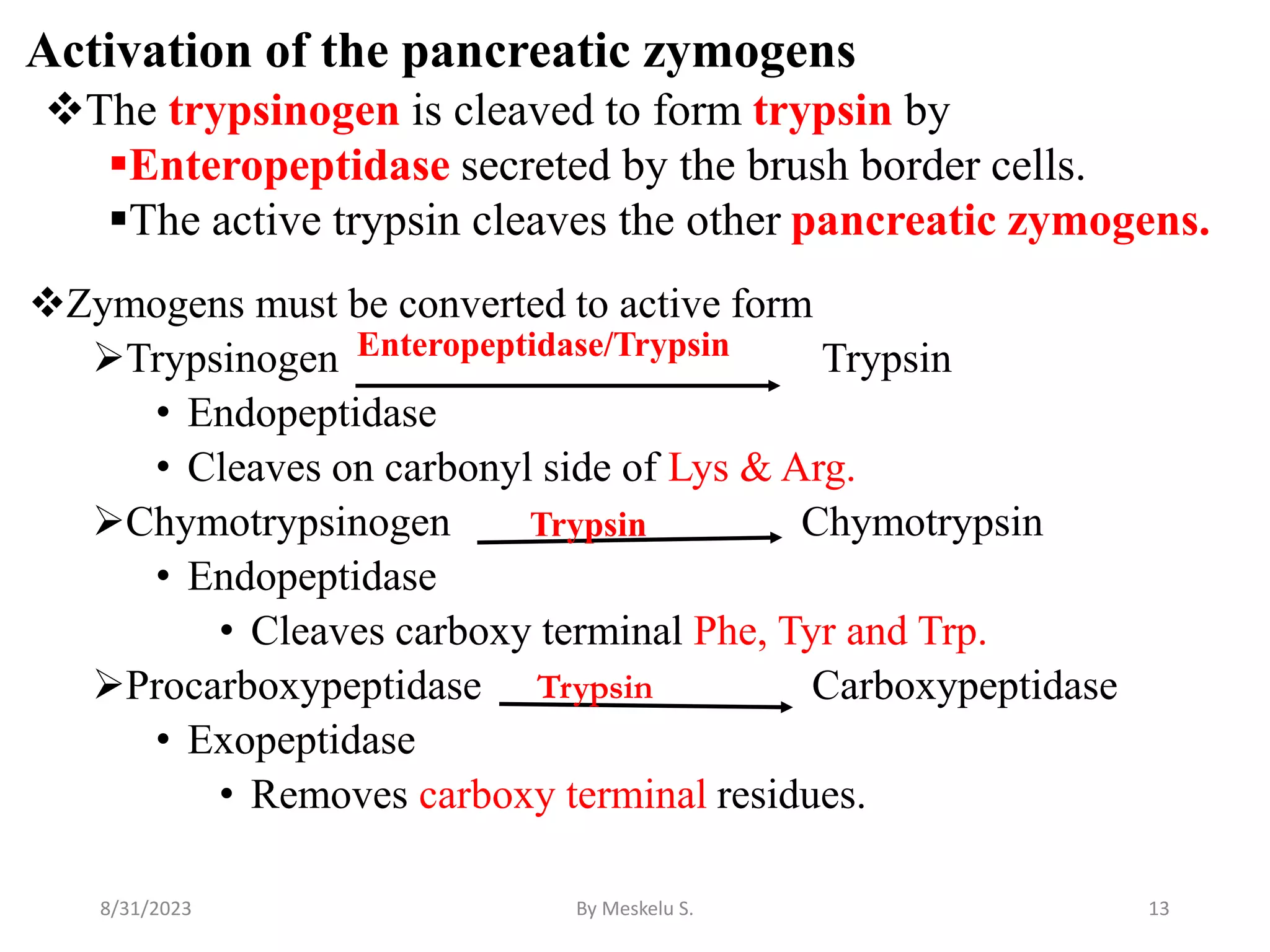Amino acid metabolism.pptx