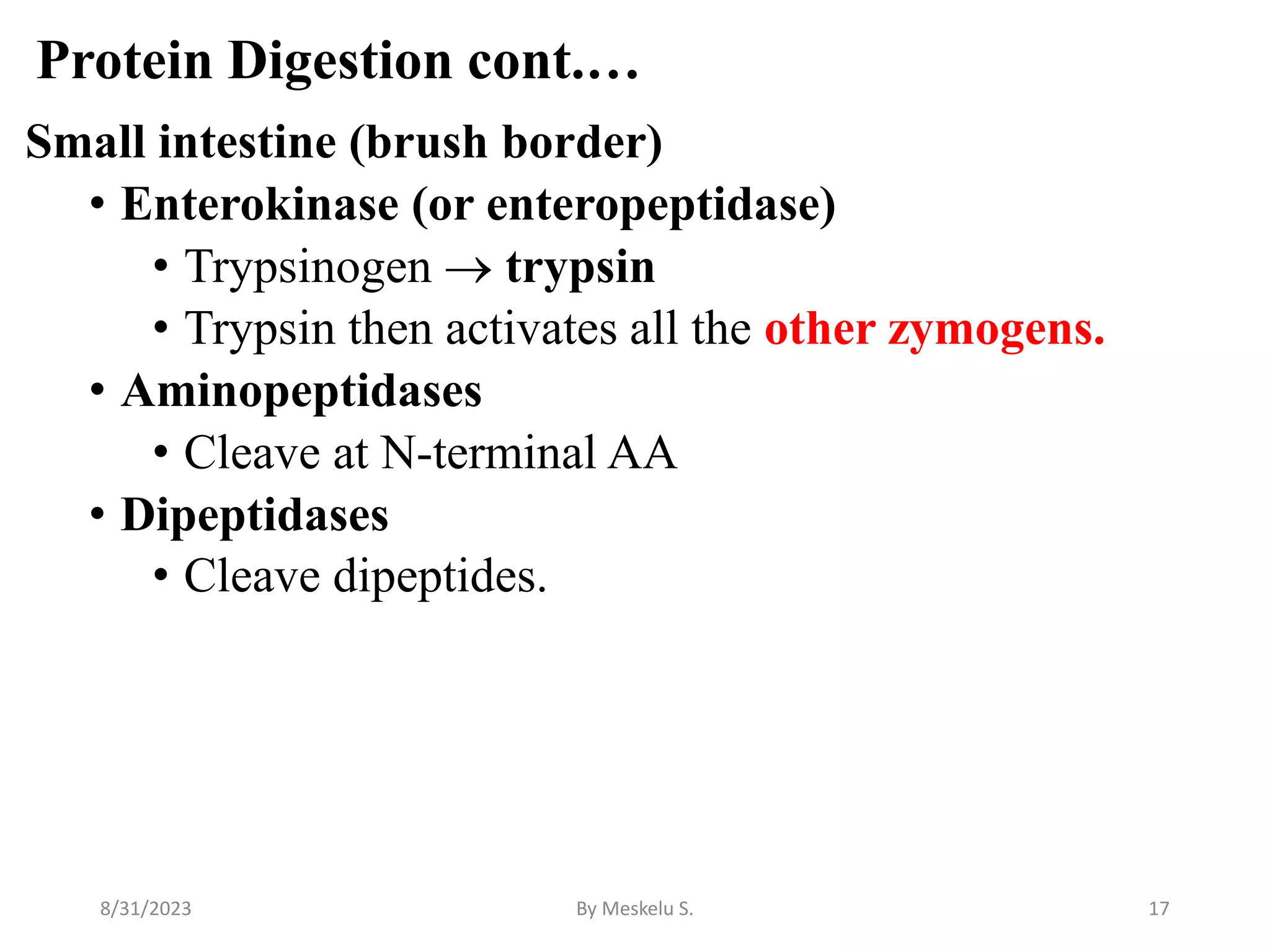 Amino acid metabolism.pptx