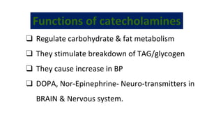 Amino acid Metabolism - Nutritional Biochemistry | PPTX