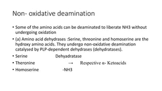 Amino acid metabolism................... | PPTX | Chemistry | Science