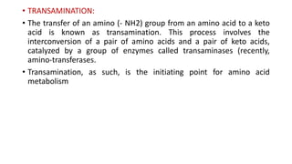 Amino acid metabolism................... | PPTX | Chemistry | Science