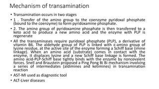 Amino acid metabolism................... | PPTX | Chemistry | Science