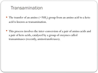 Amino acid metabolism in organnisms.pptx