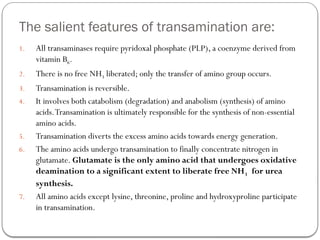Amino acid metabolism in organnisms.pptx