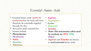 Amino acid metabolism, it gives gray information about amino acids in ...