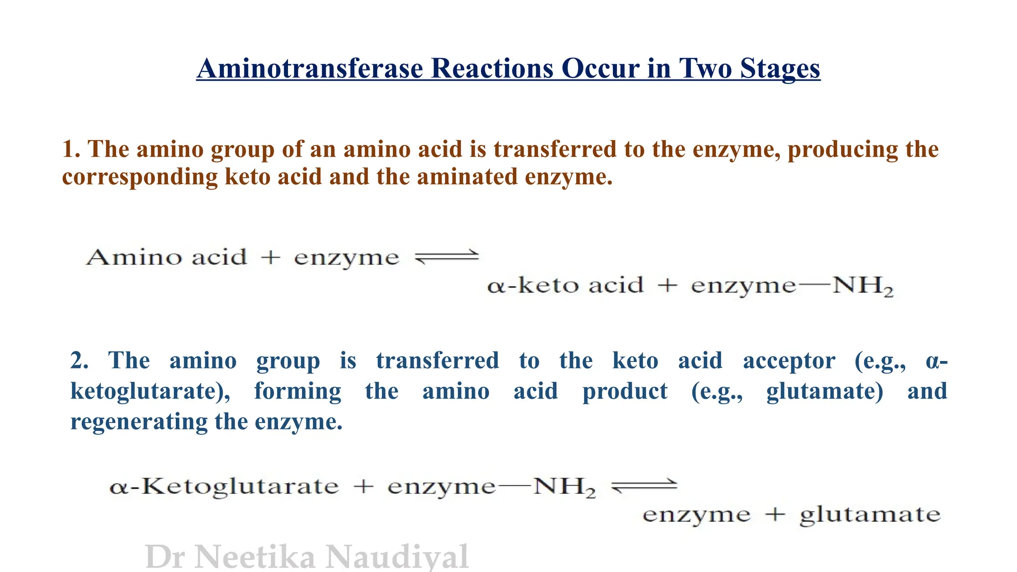 Amino acid metabolism (Amino Acid Deamination) | PPTX