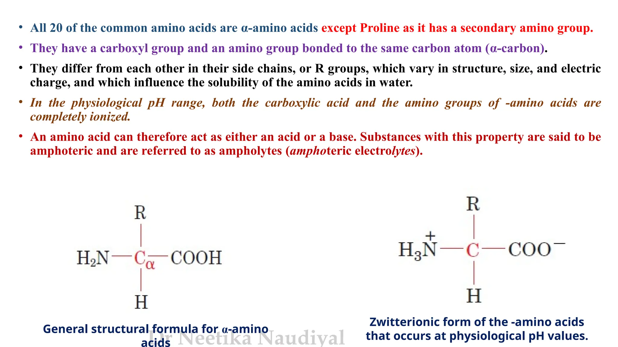 Amino acid metabolism (Amino Acid Deamination) | PPT | Free Download