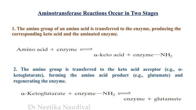 Amino acid metabolism (Amino Acid Deamination) | PPT | Free Download