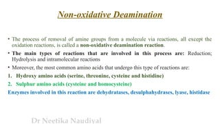 Amino acid metabolism (Amino Acid Deamination) | PPT | Free Download