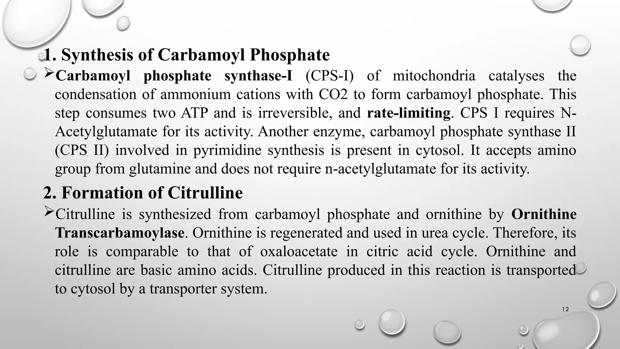 Amino acid metabolism, Urea Cycle, Biochemistry, B.Pharm & D.Pharm | PPTX