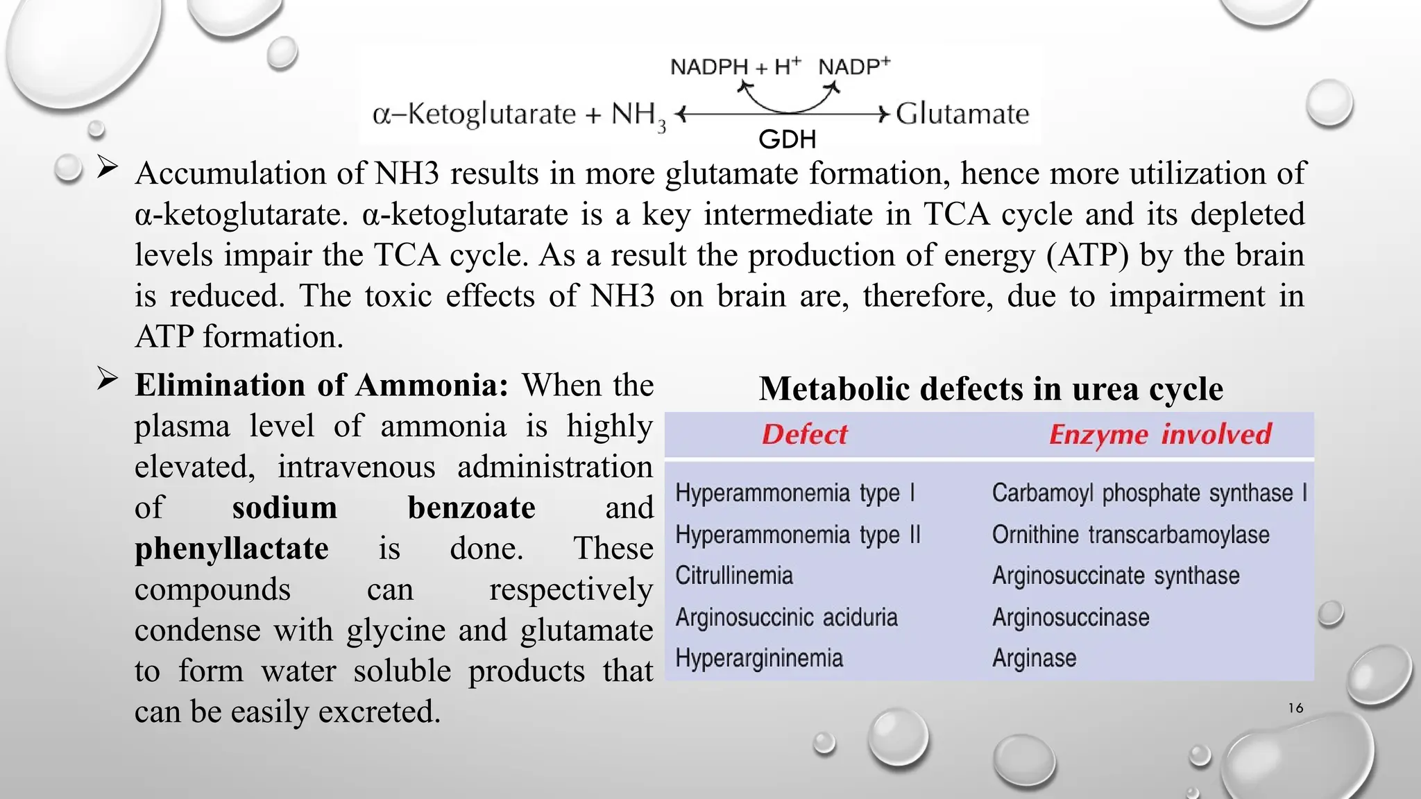 Amino acid metabolism, Urea Cycle, Biochemistry, B.Pharm & D.Pharm | PPTX