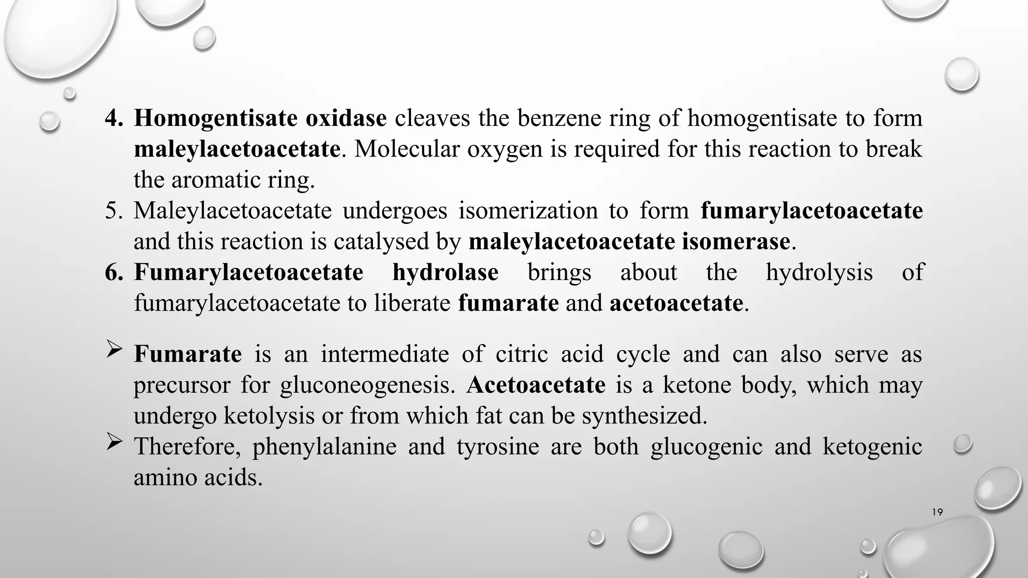 Amino acid metabolism, Urea Cycle, Biochemistry, B.Pharm & D.Pharm | PPTX