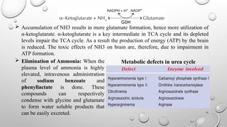 Amino acid metabolism, Urea Cycle, Biochemistry, B.Pharm & D.Pharm | PPTX
