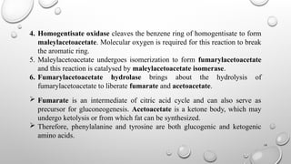 Amino acid metabolism, Urea Cycle, Biochemistry, B.Pharm & D.Pharm | PPTX